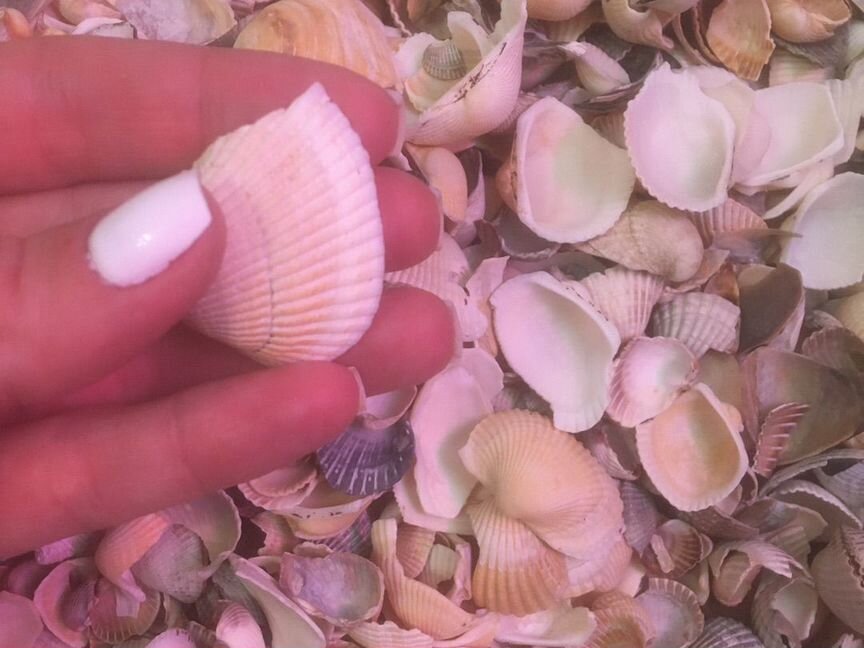 Ракушка морская битая грунт для аквариума