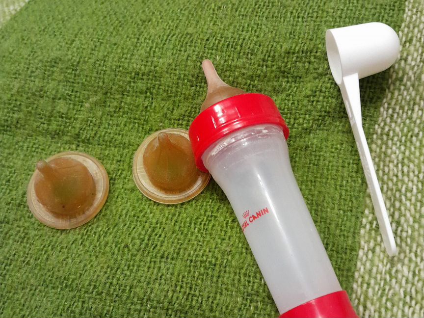 Набор для выкармливания котят. Ёмкость и 3 соски