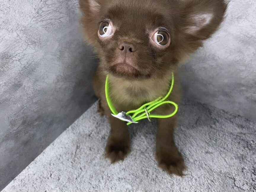 Super mini малыш