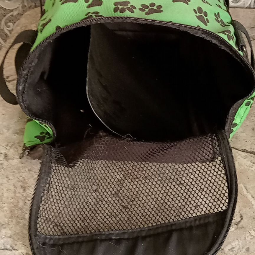 Переноска для кошек бу