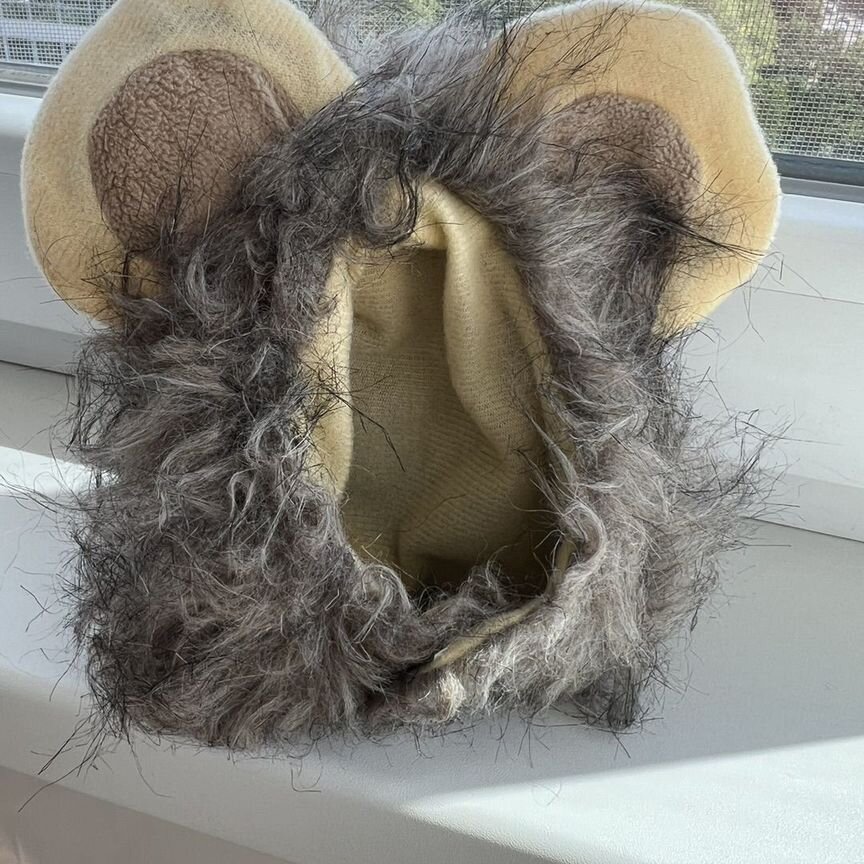 Шапочка для кошек