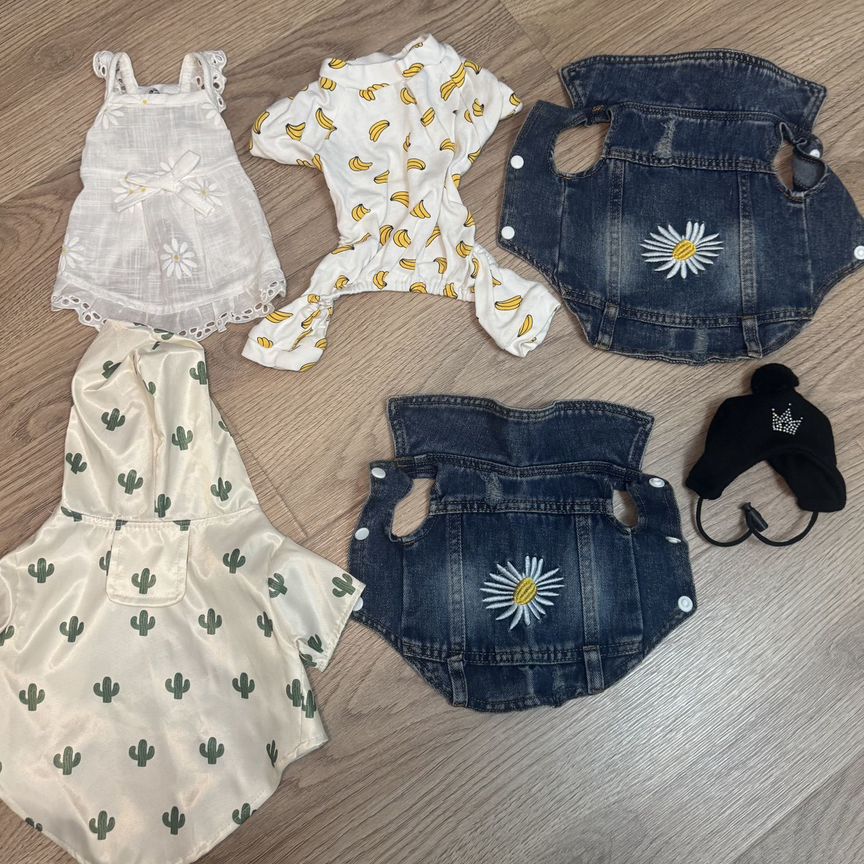 Одежда для собак мелких пород