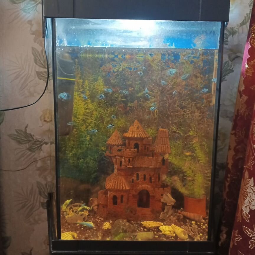 Аквариум с тумбой б/у