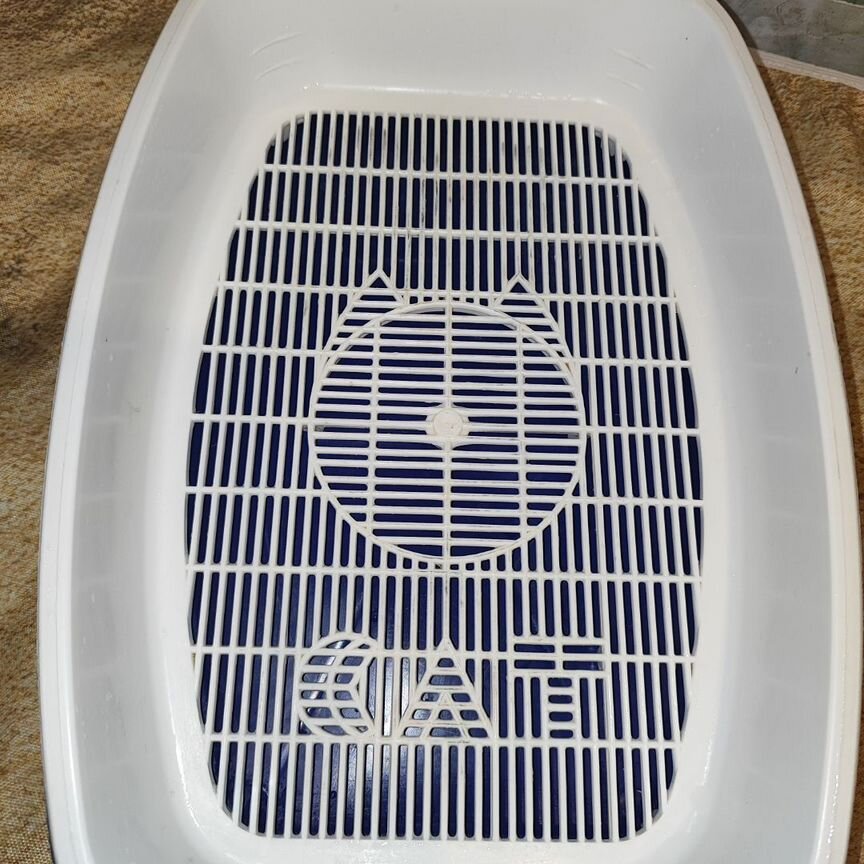 Лоток для котят