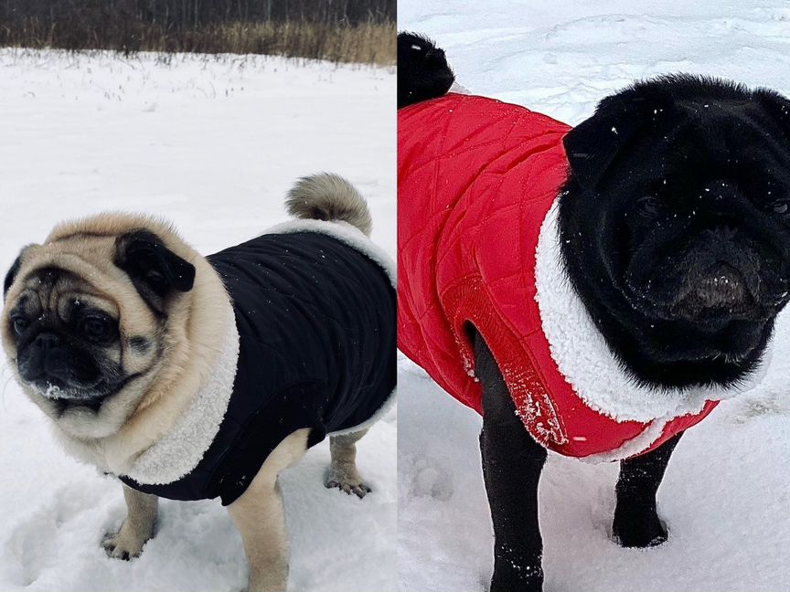 Одежда для собак (жилет зимний)