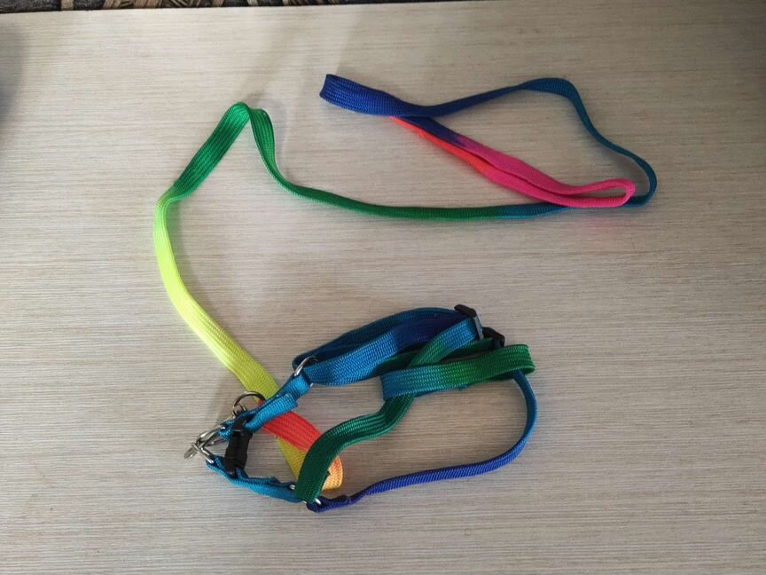 Шлейка для кошки