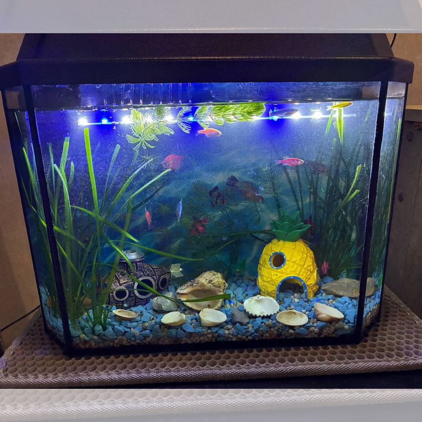 Аквариум 20 литров