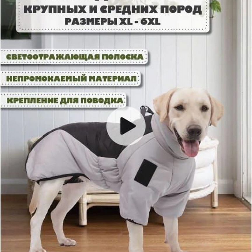 Жилетка для собак