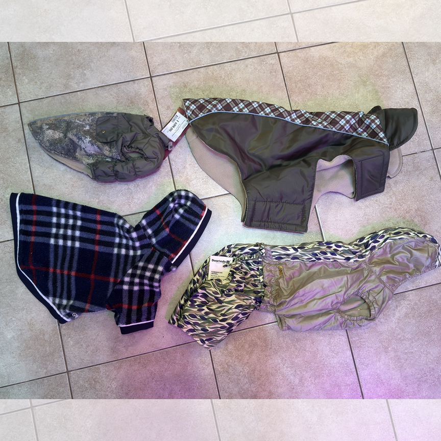 Одежда для собак мелких пород