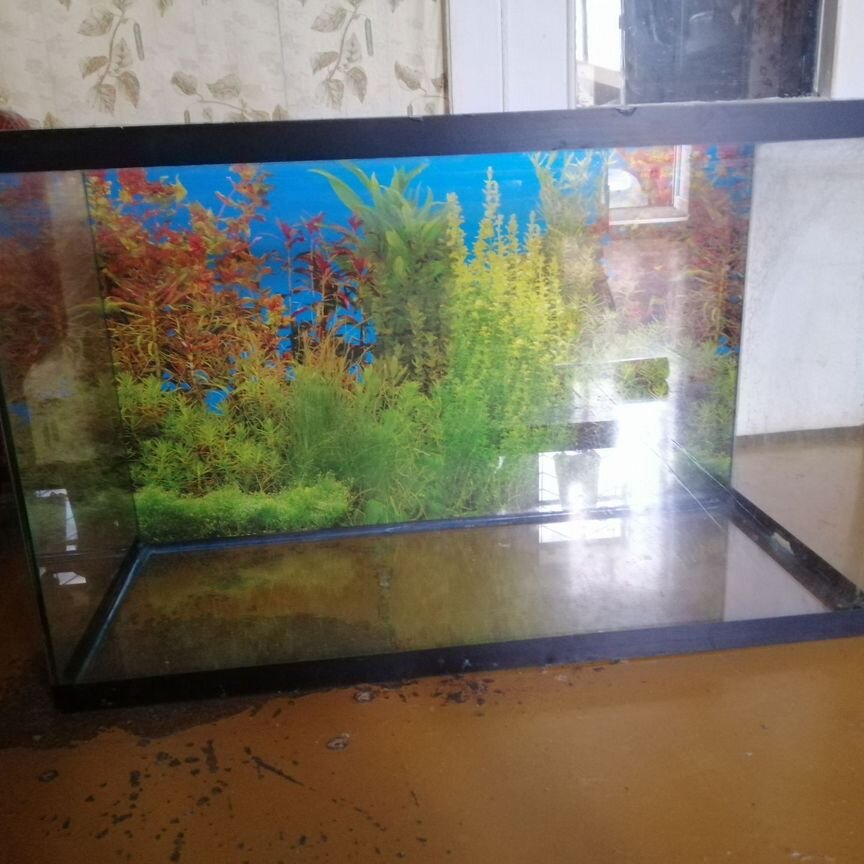 Террариум 100л для морской свинки