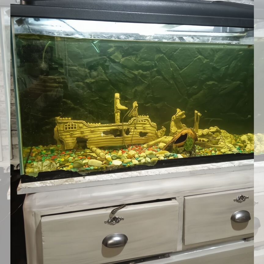 Аквариум на 200 литров