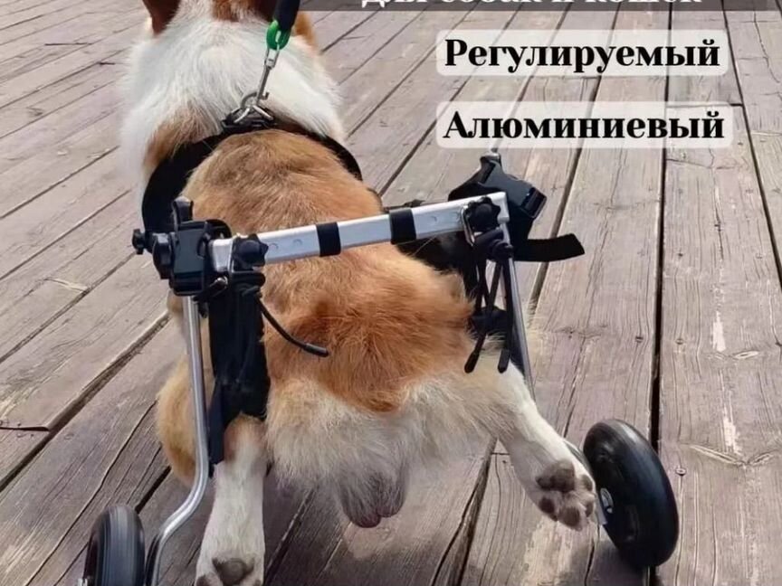Инвалидная коляска для собак и кошек, размер M