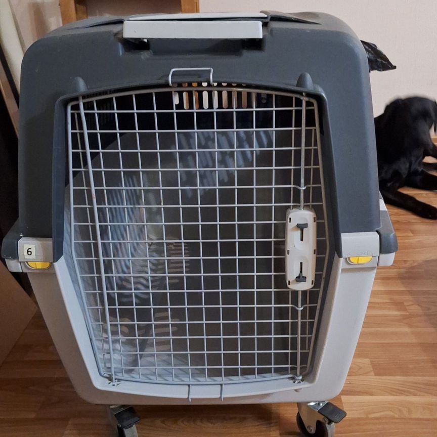 Переноска для крупных собак