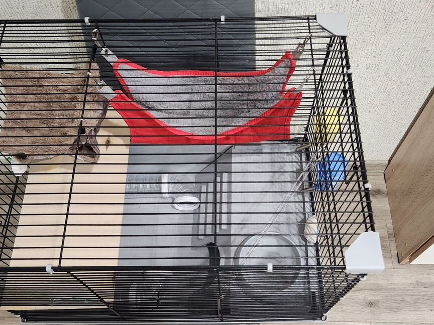 Клетка для грызунов бу