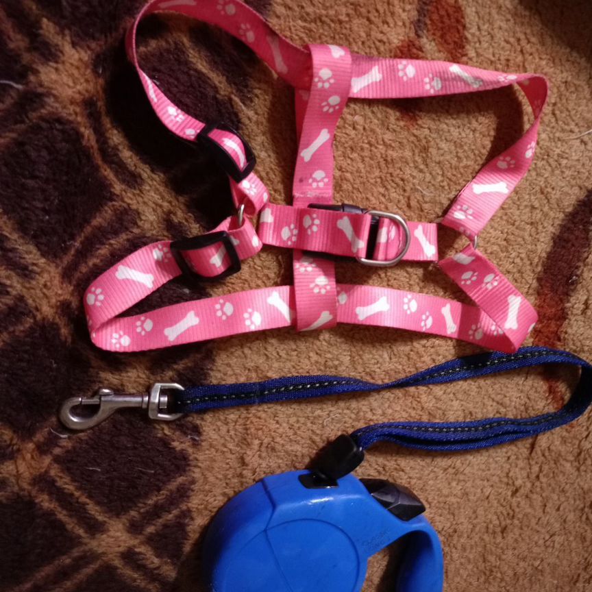 Продам поводок рулетка и шейку