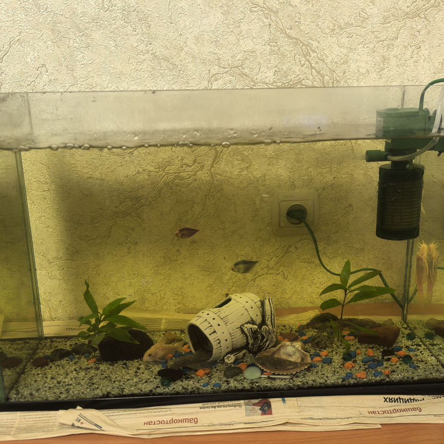 Аквариум