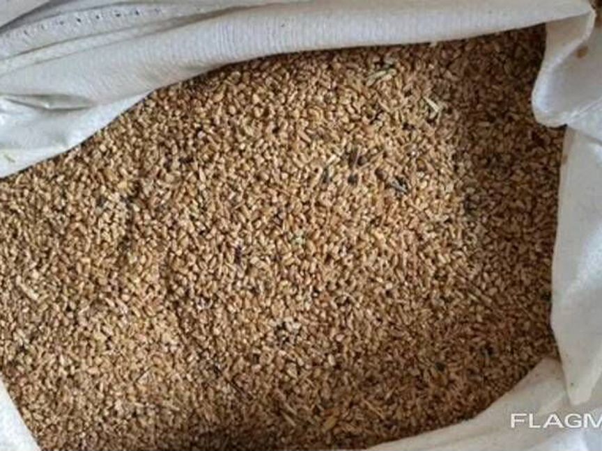 Зерноотходы пшеница