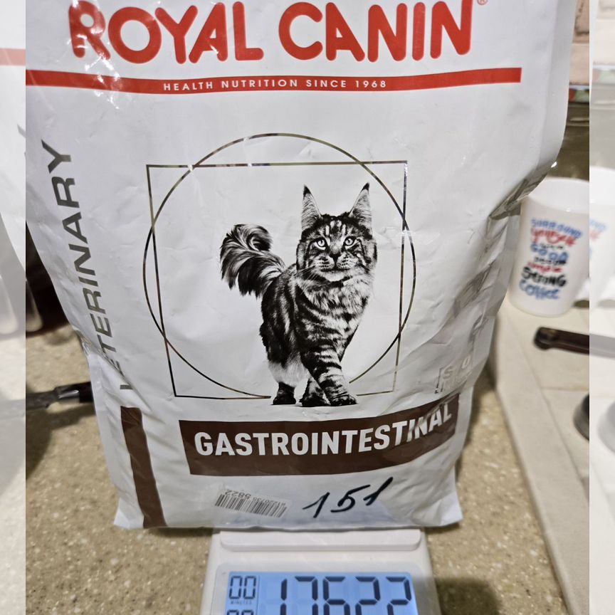 Корм для кошек