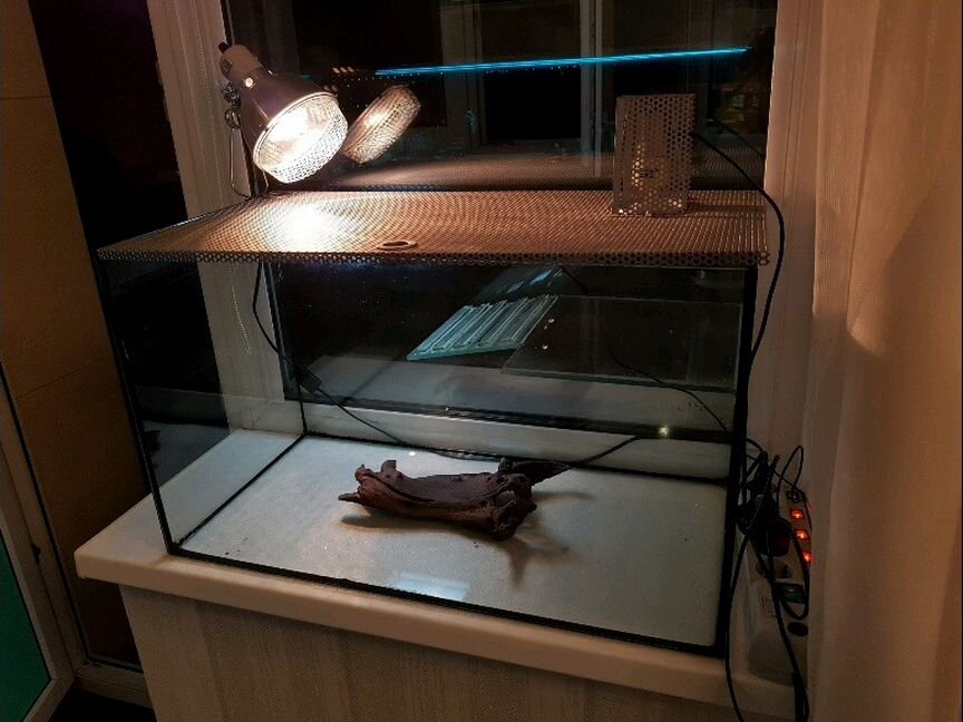 Акватеррариум