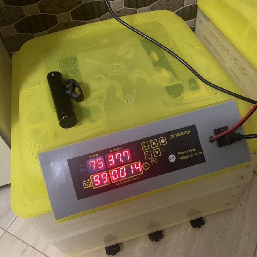 Инкубатор для яиц автоматический бу