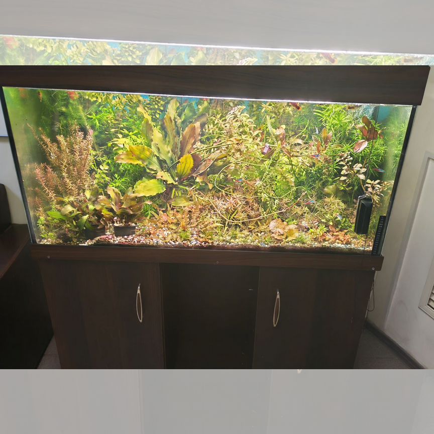 Аквариум с тумбой