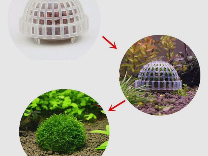 Шарик полусфера для посадки мха в аквариум