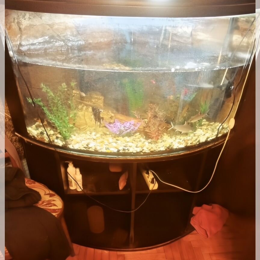 Аквариум 300литров бу