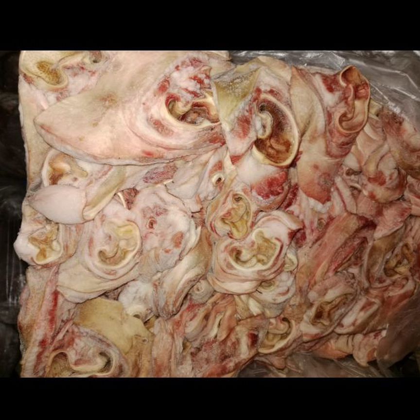 Ушные раковины замороженные