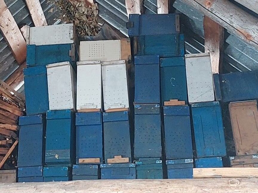 Ящики для пчелопакетов