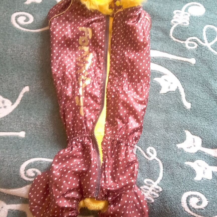 Одежда для животных