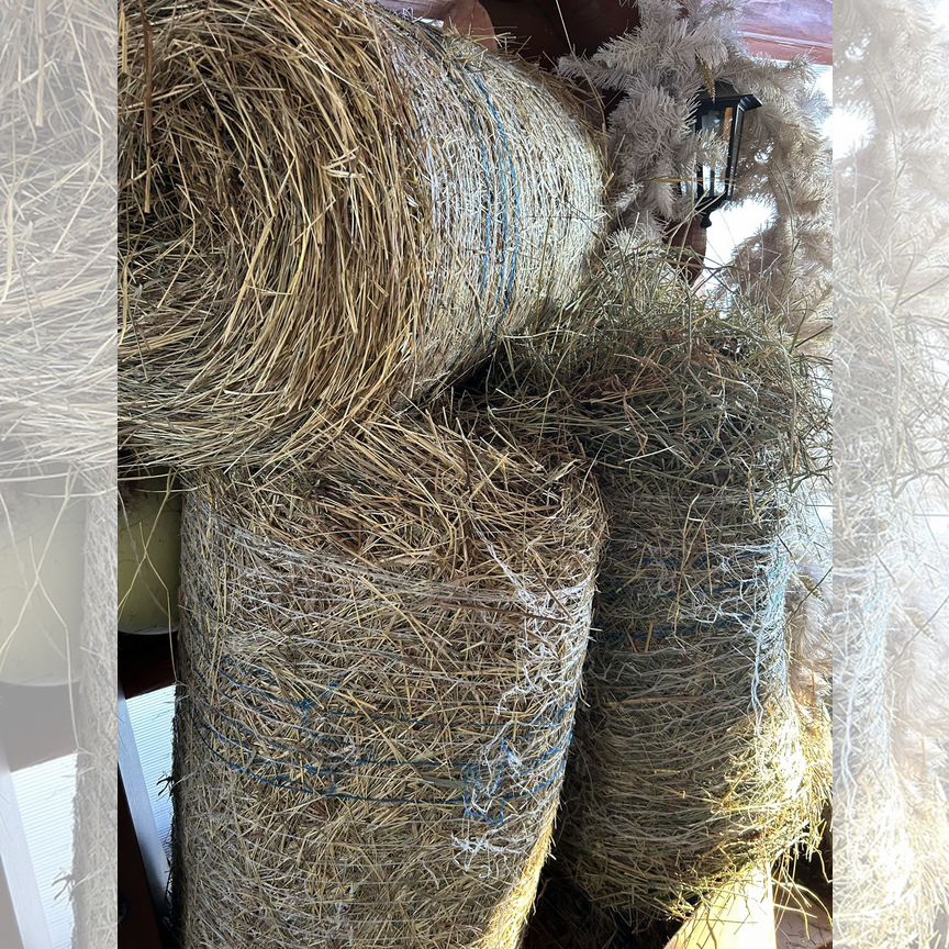 Сено в рулонах