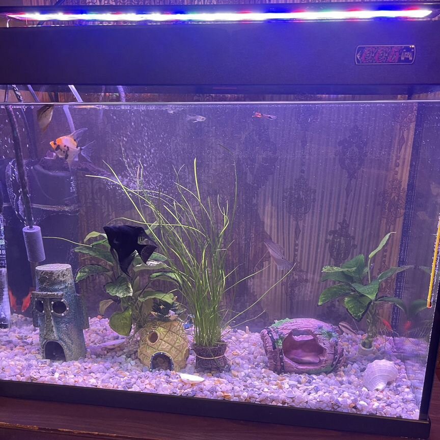 Аквариум с тумбой 300 литров