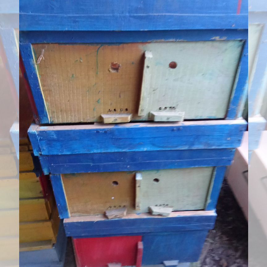 Нуклеус для пчел