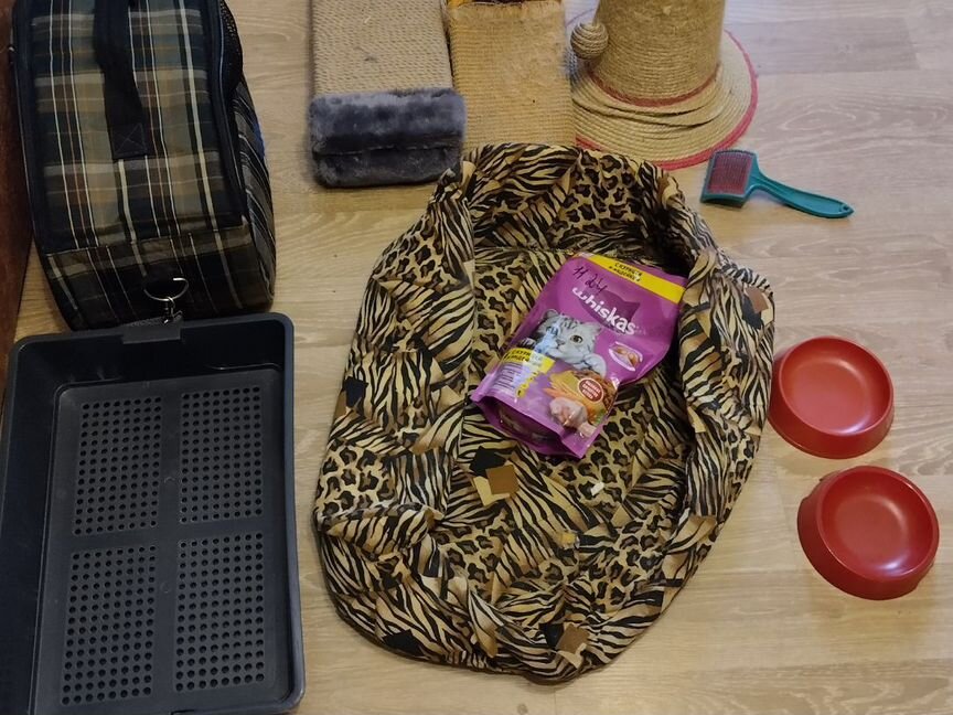 Вещи для кошек