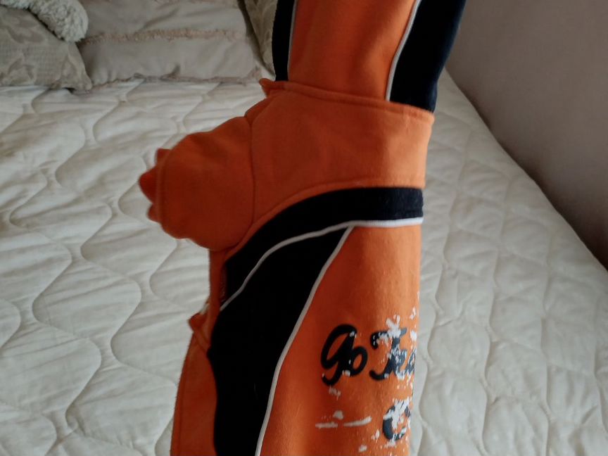 Одежда для маленьких собак