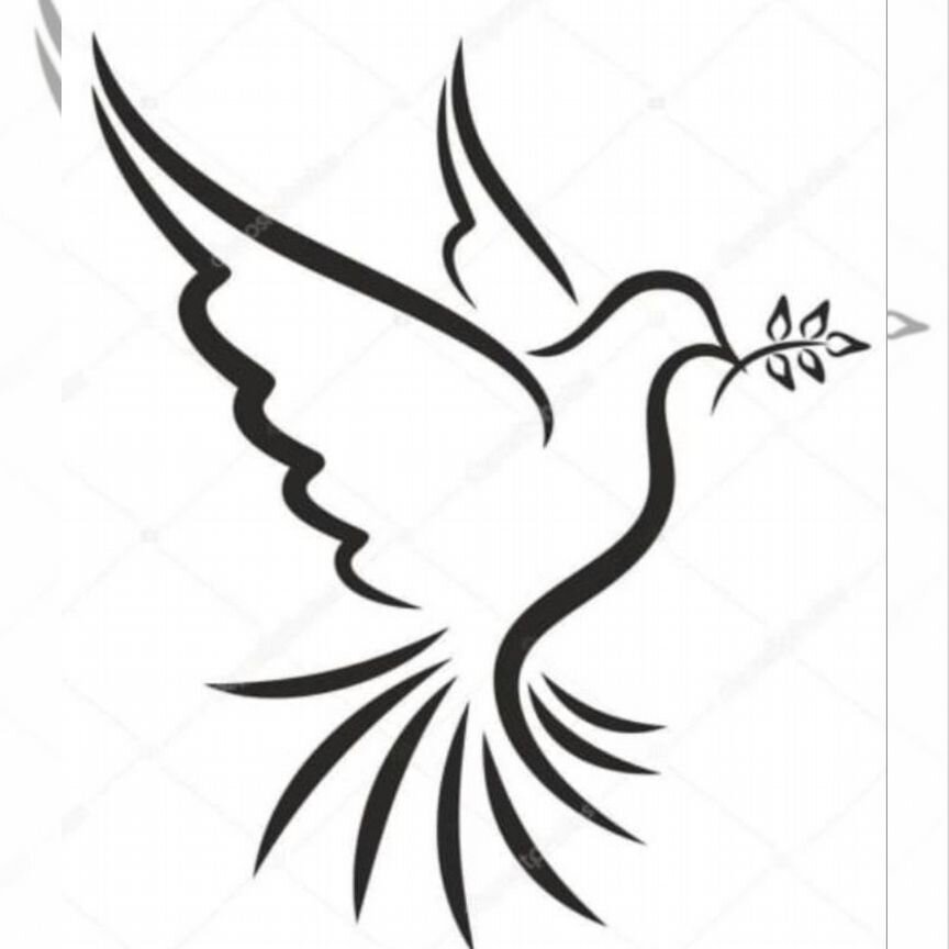 Голуби на торжественный выпуск