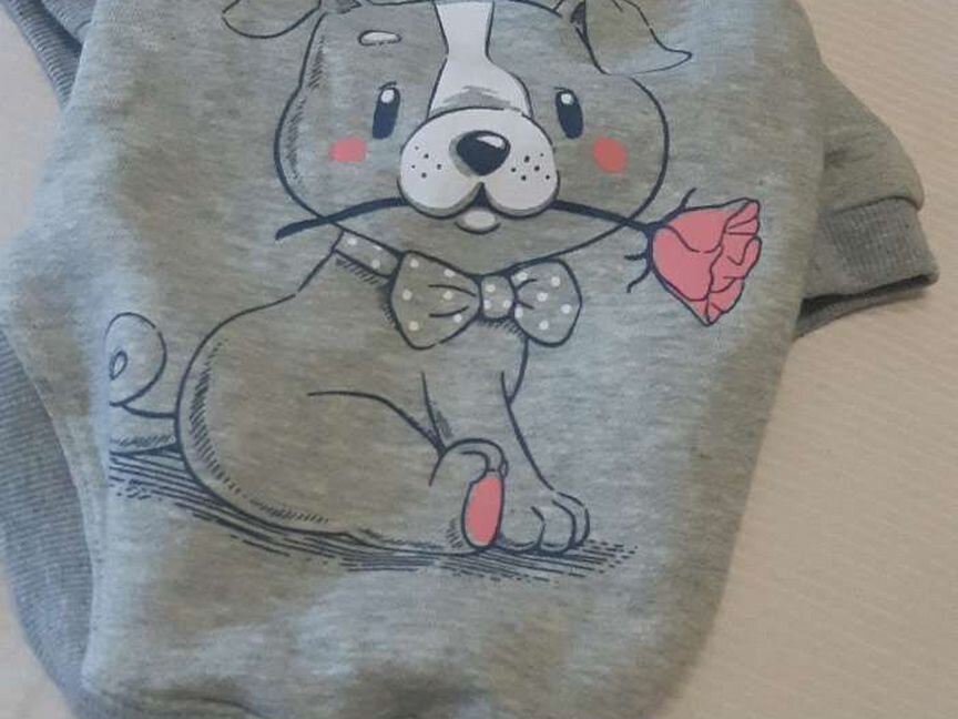 Вещи на котенка