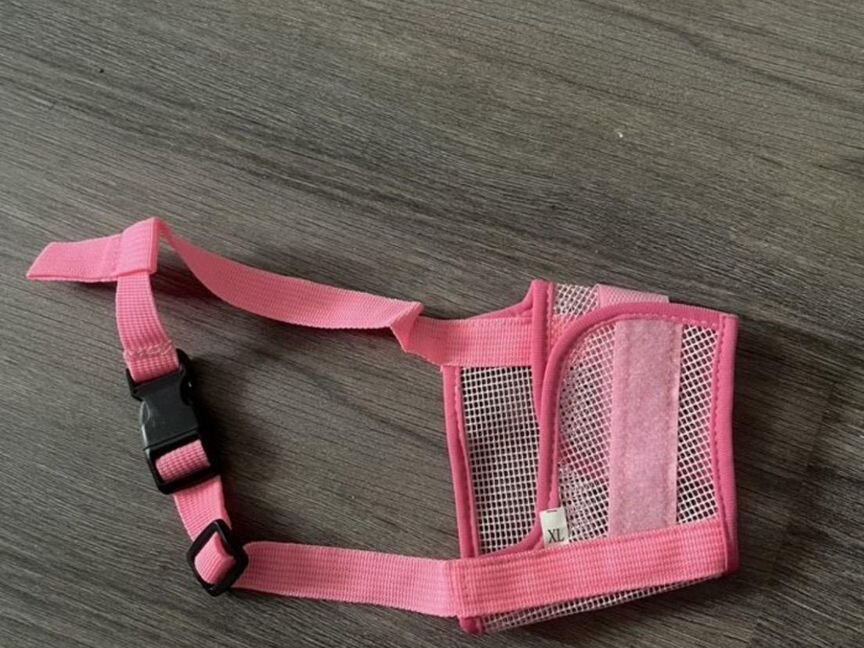 Намордник для собак