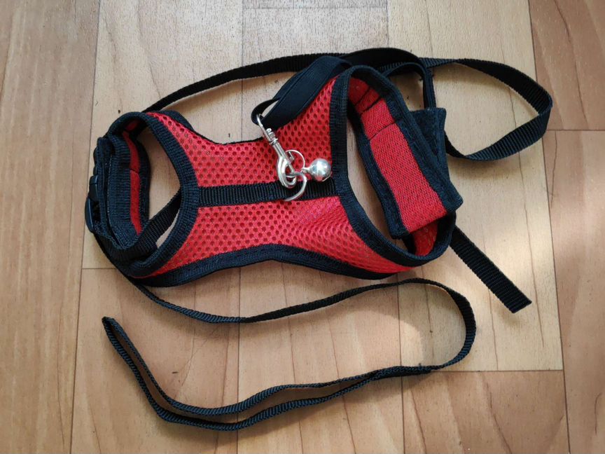 Шлейка для хорька