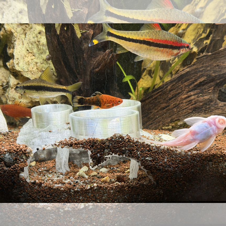 Грот аквариумный для сомов