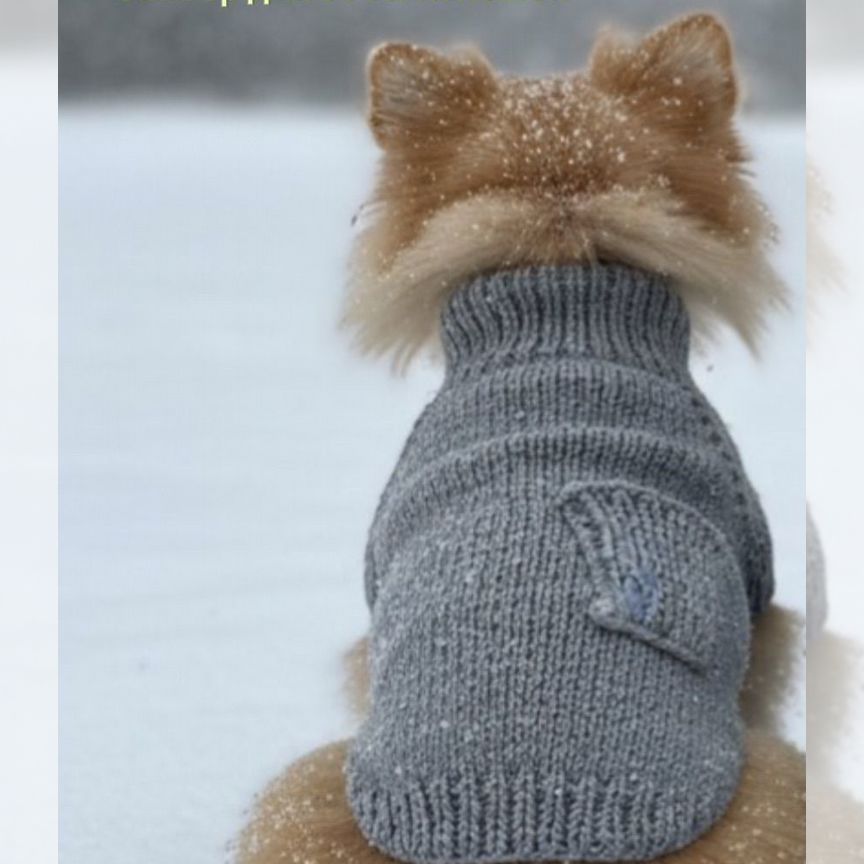 Свитер для собак и кошек с шарфиком