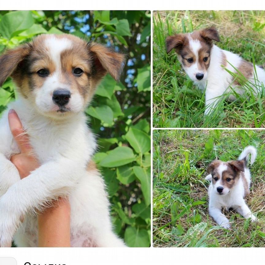 Мальчик, 2 месяца