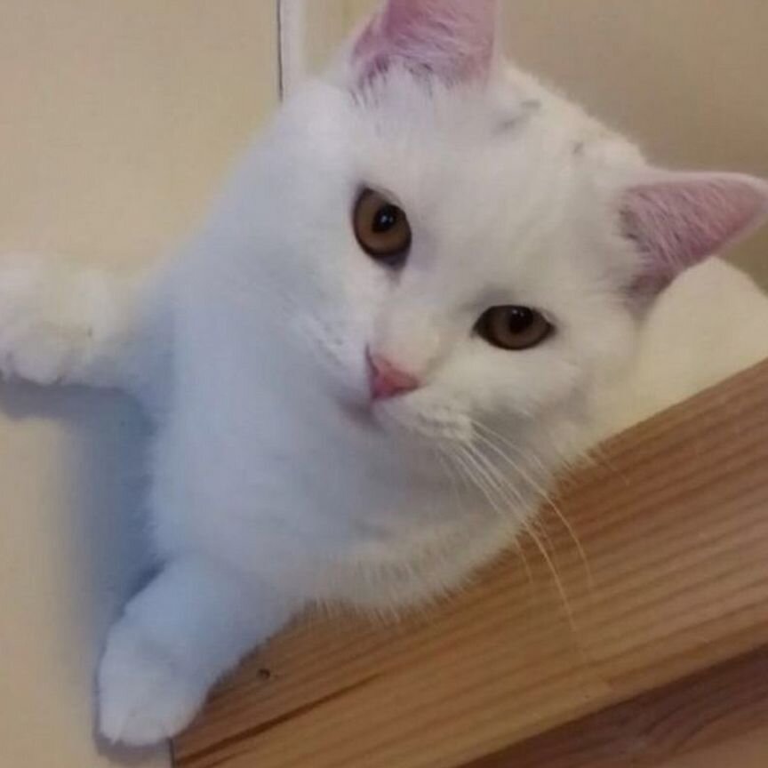Никому не нужное белое облачко