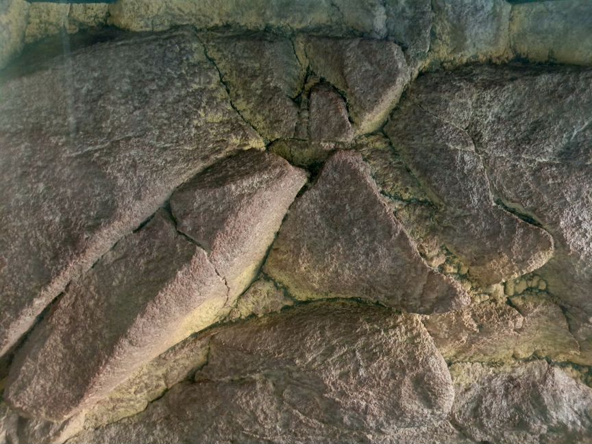 Фон 3D для аквариума