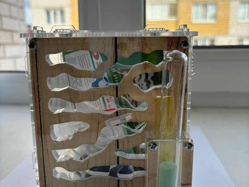 Муравьиная ферма бу