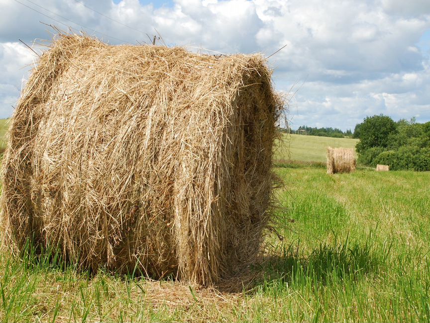 Продаётся сено