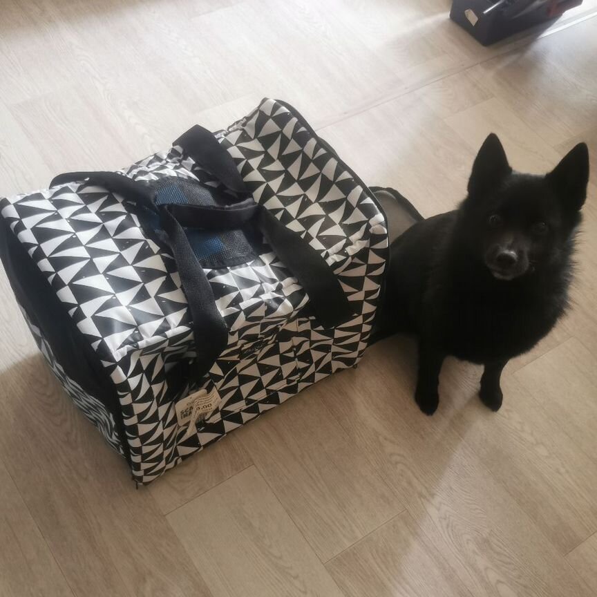 Переноска для собак мягкая