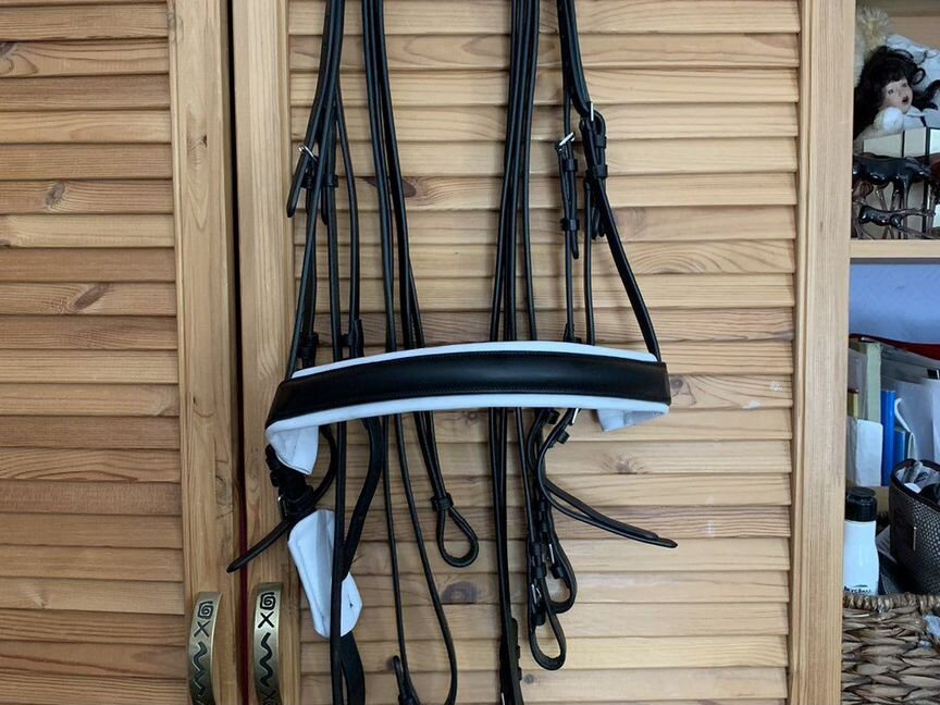 Мундштучное оголовье