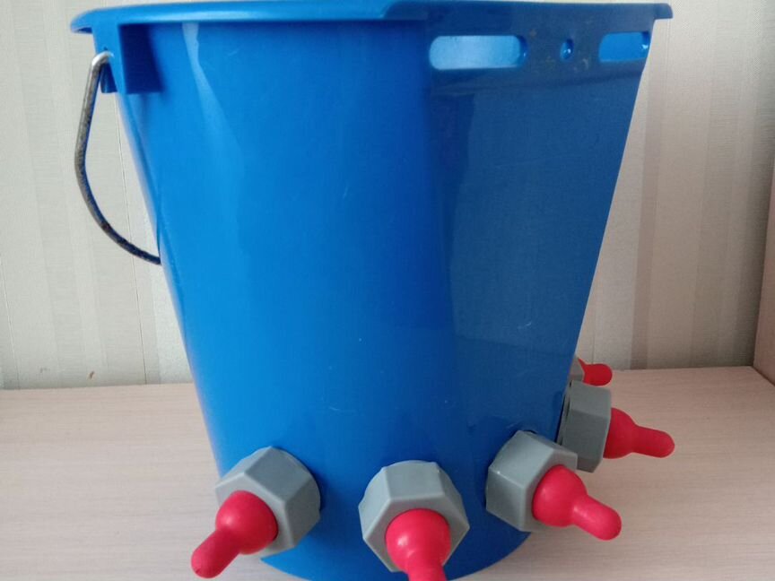 Ведро для выпойки ягнят, козлят