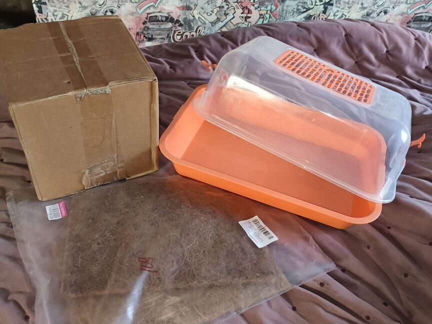 Террариум для улиток